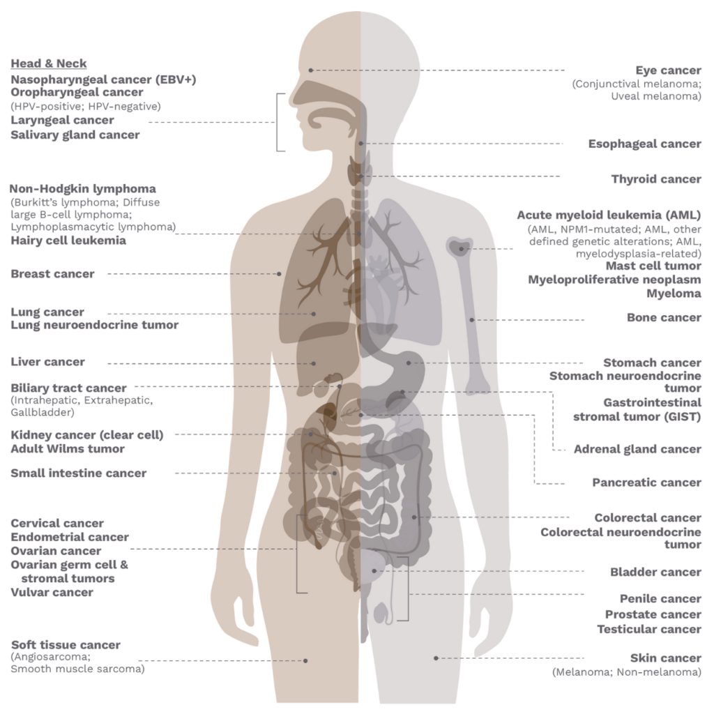 Cancer Screening | LucenceINSIGHT Multi-Cancer Screening